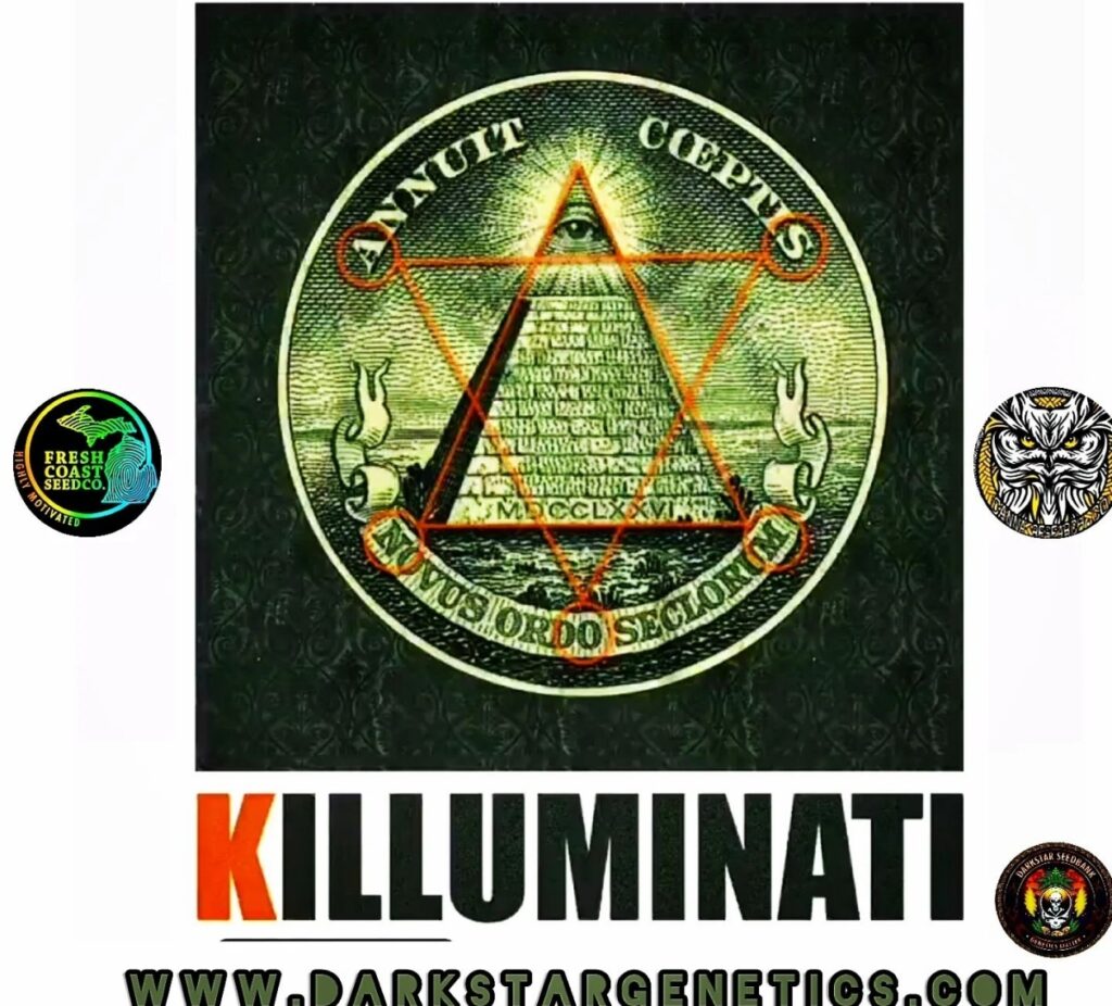 CANNA RESEARCH CO / FREASH COAST SEED CO – KILLUMINATII – Darkstar Seedbank