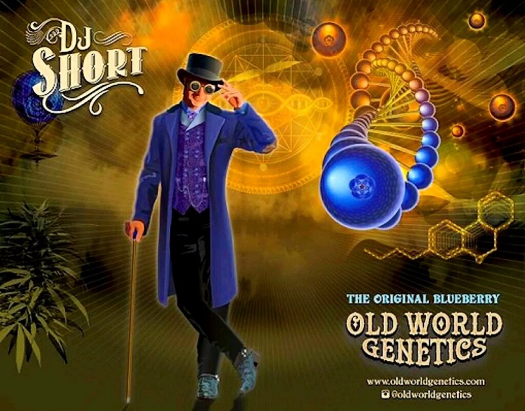 OLD WORLD GENETICS – BLUEBERRY F5 / FLO F5 (4 X 4 PACK) – Darkstar Seedbank