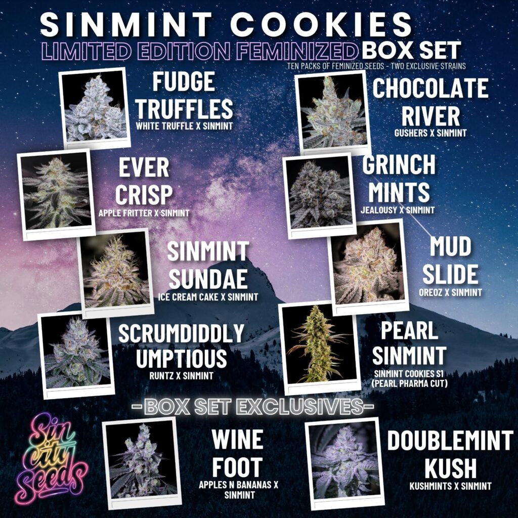 Sin City Seeds – Darkstar Seedbank