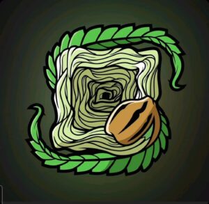 SQUARE 1 GENETICS – SIERRA GRAPE – Darkstar Seedbank