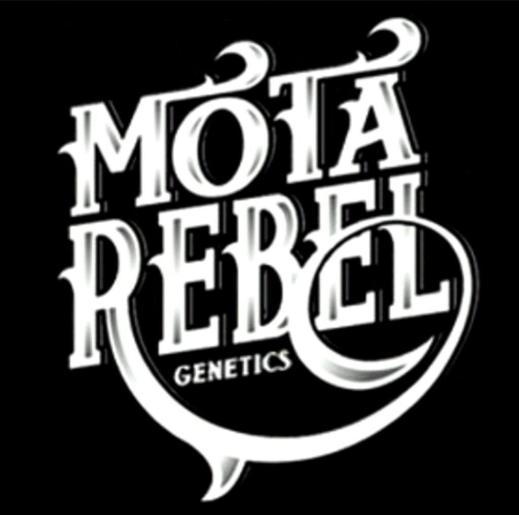 MOTA REBEL – SFV OG BX1 – Darkstar Seedbank