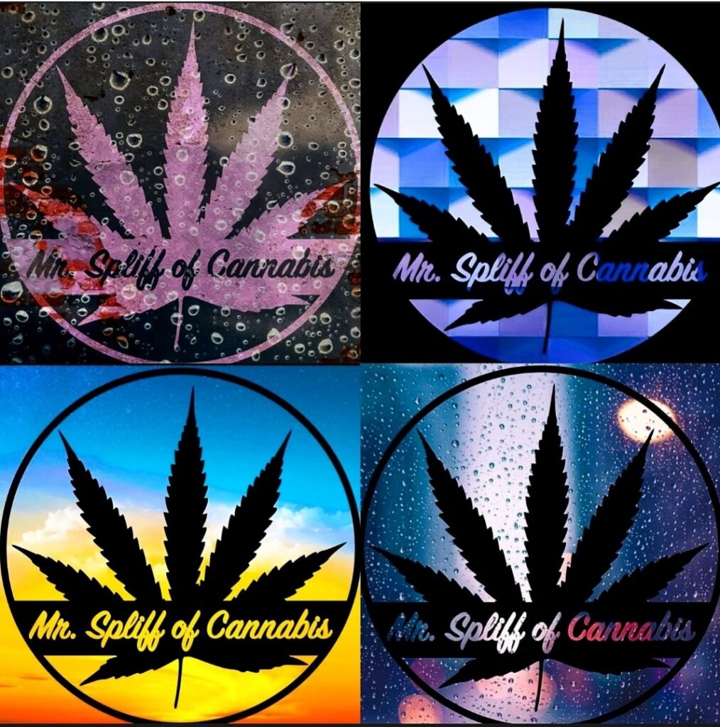 MR. SPLIFF OF CANNABIS – TWIN PEAKS – Darkstar Seedbank