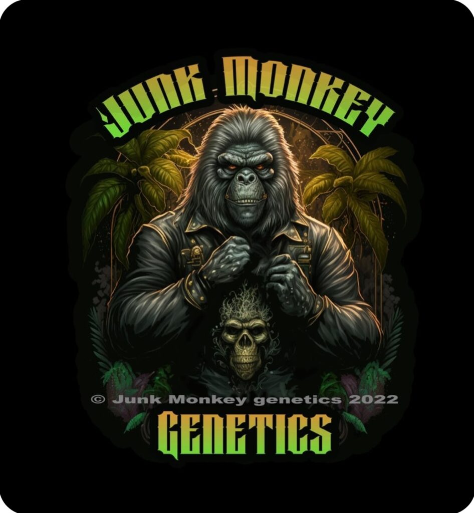 JUNK MONKEY GENETICS – MENDO BREATH F4 – Darkstar Seedbank