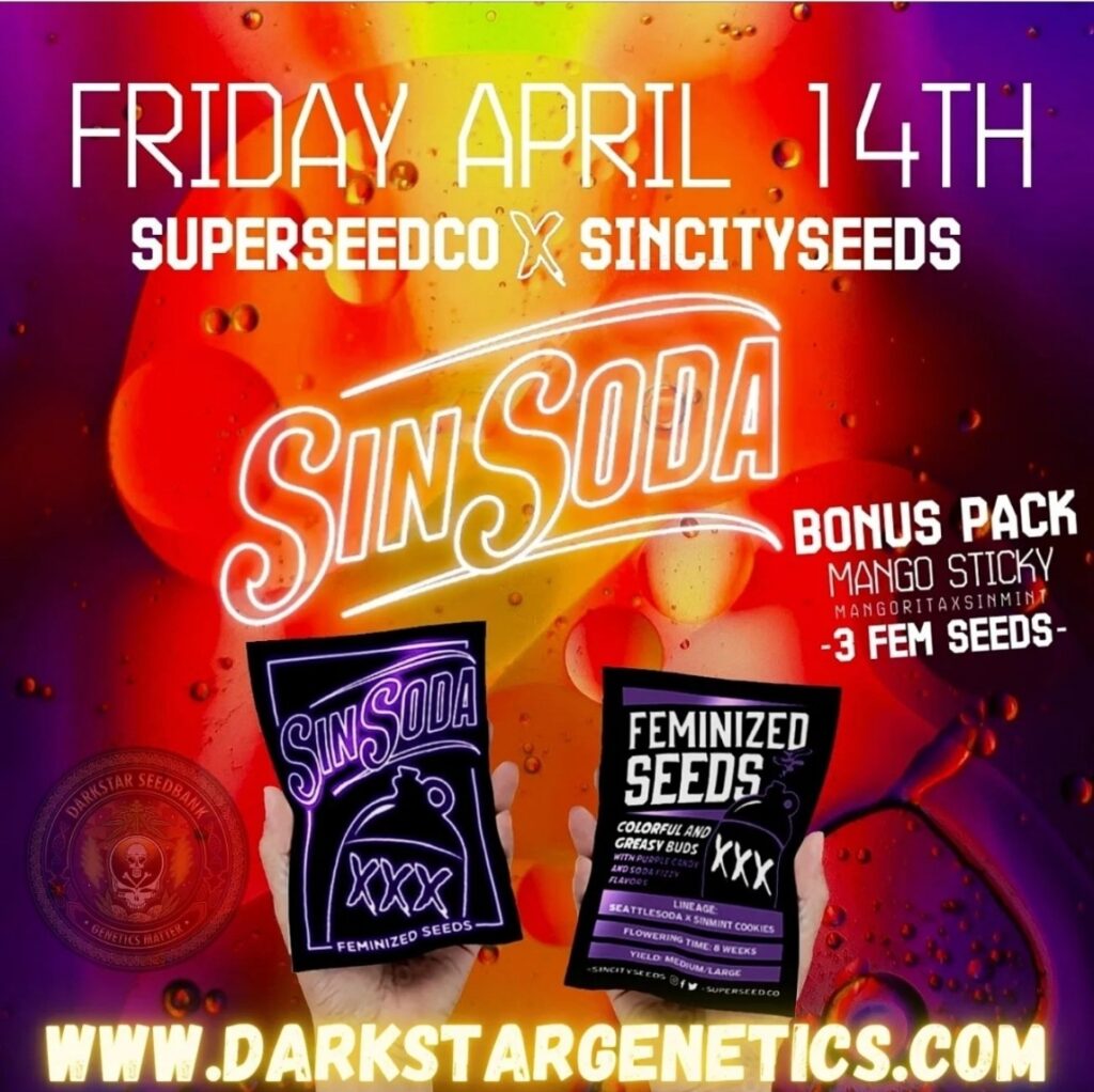Sin City Seeds – Page 2 – Darkstar Seedbank