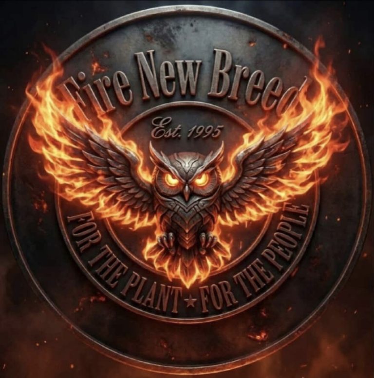 FIRE NEW BREED – CHOOSE ANY 4 FNB PACKS FROM DROP FOR 150 – Darkstar ...